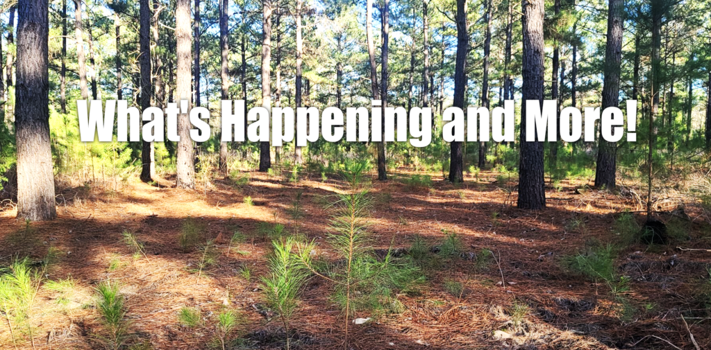 Updates - Rustic Trails Texas LLC