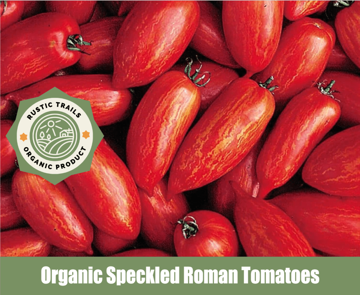 Speckled Roman Tomatoes - Rustic Trails Texas LLC