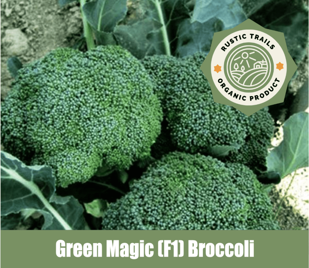 Green Magic (F1) Broccoli - Rustic Trails Texas LLC