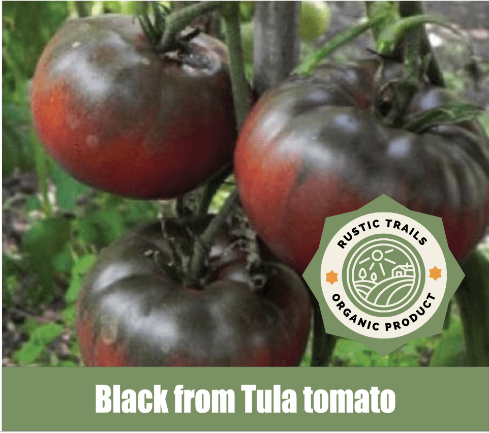 Black from Tula Tomato - Rustic Trails Texas LLC