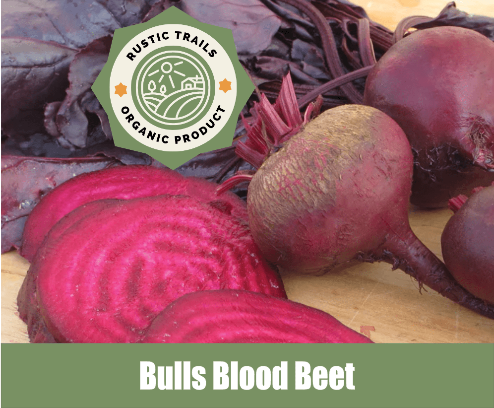 Bulls Blood Beets - Rustic Trails Texas LLC