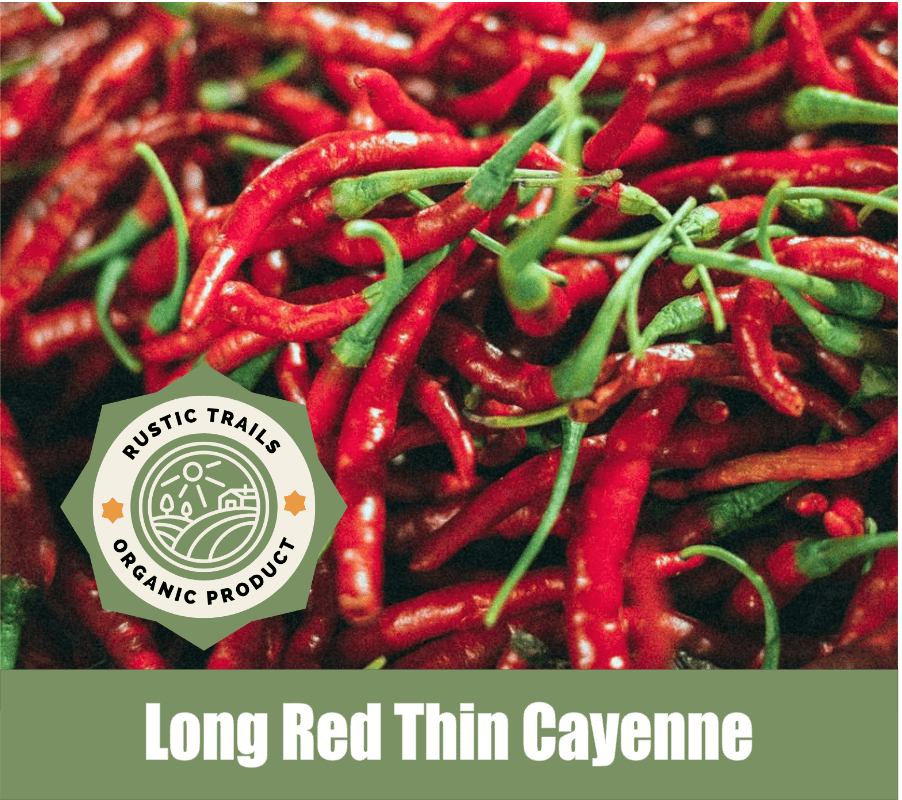 Long Red Thin Cayenne, Pepper - Rustic Trails Texas LLC