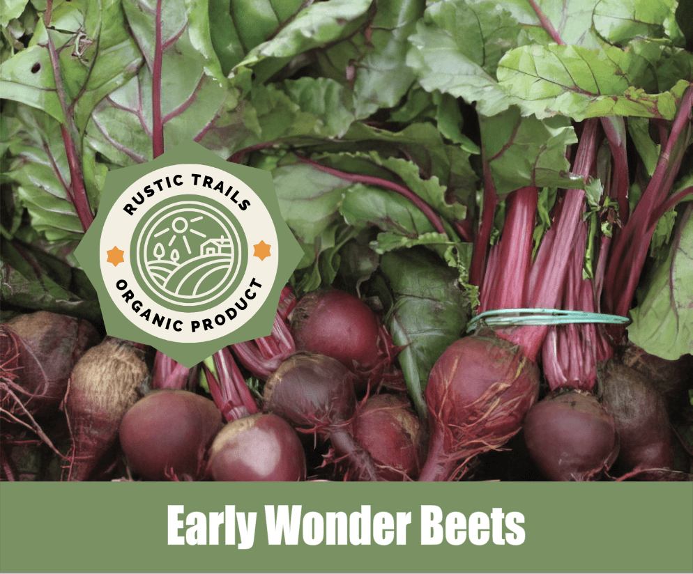 Early Wonder Beets - Rustic Trails Texas LLC