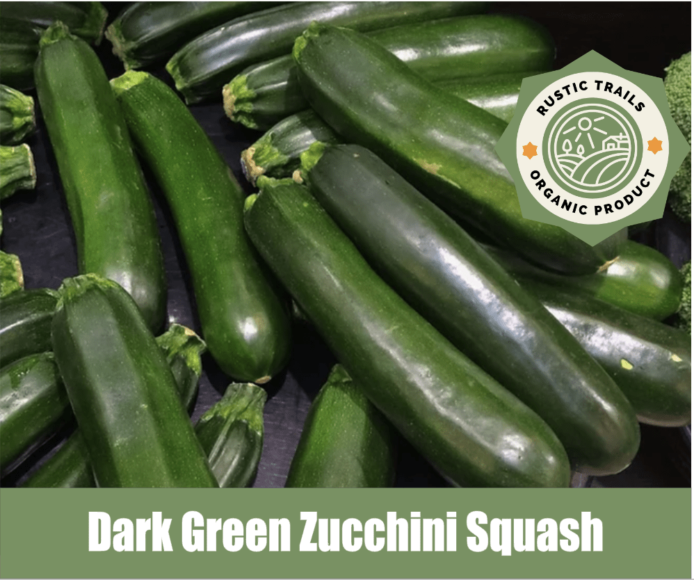Dark Green Zucchini Squash - Rustic Trails Texas LLC