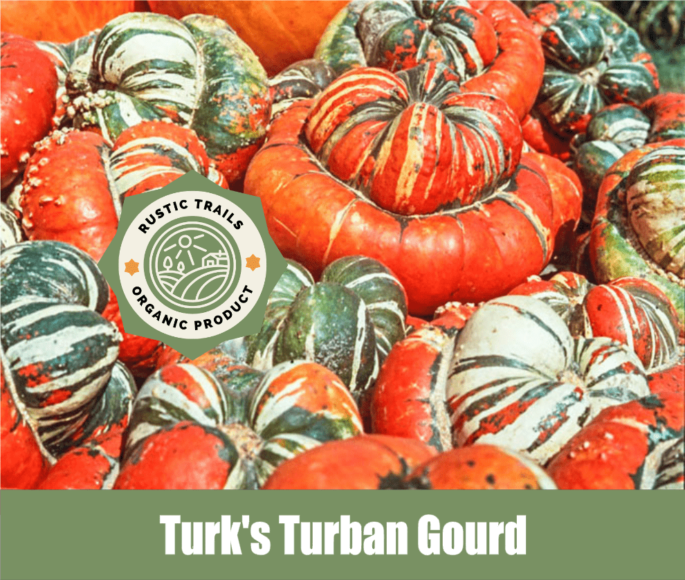 Turk's Turban Gourd (Cucurbita maxima) - Rustic Trails Texas LLC