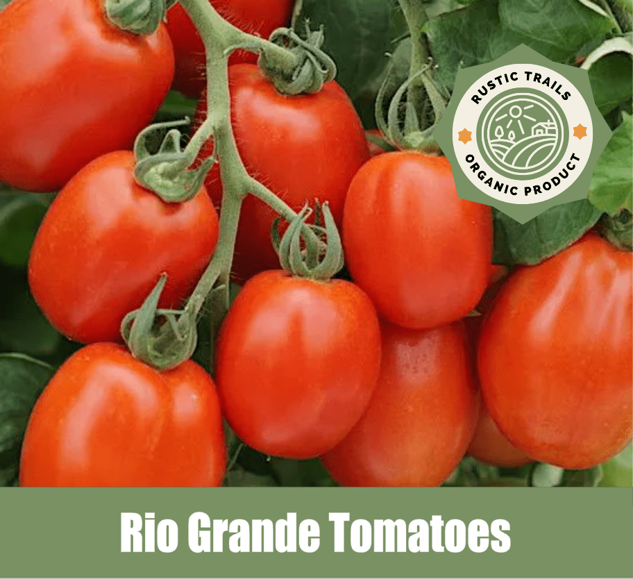 Rio Grande Heirloom Tomato - Rustic Trails Texas LLC