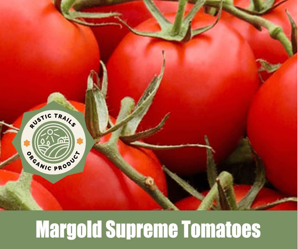 Marglobe Supreme Heirloom Tomatoes - Rustic Trails Texas LLC
