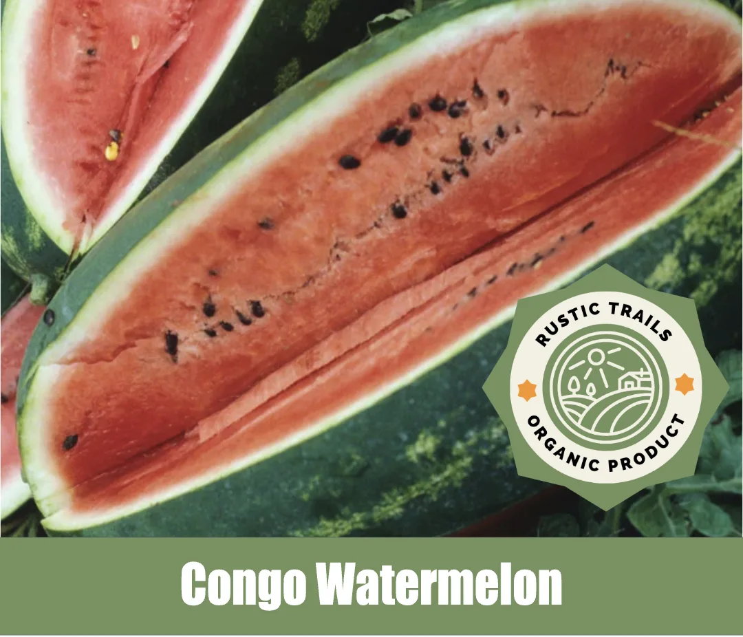 Congo Organic Watermelon - rustictrails.net